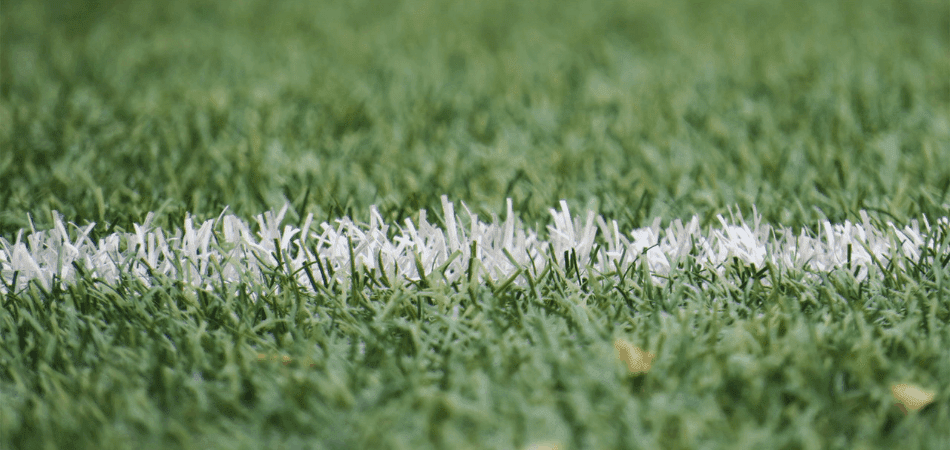 5 Reasons Why Turf Is Better