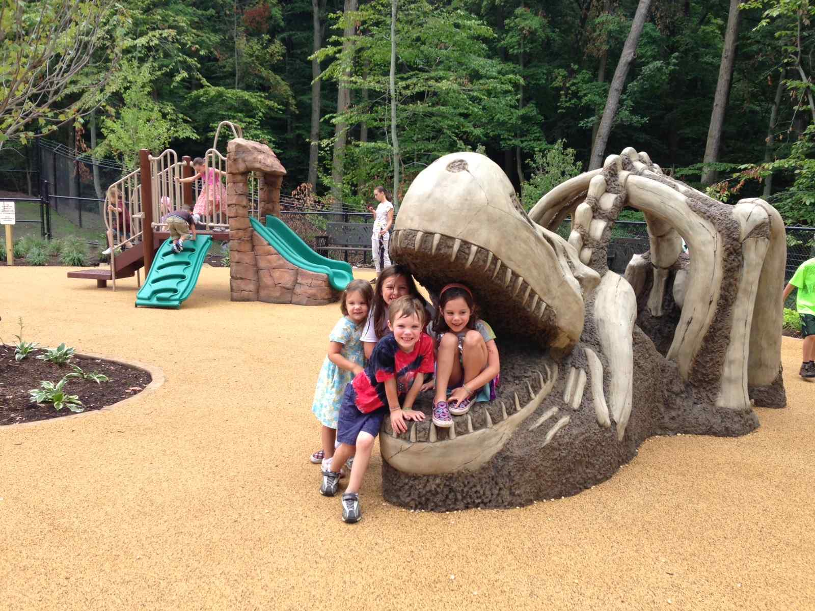 Turtle Back Zoo Gallery | MRC Recreation