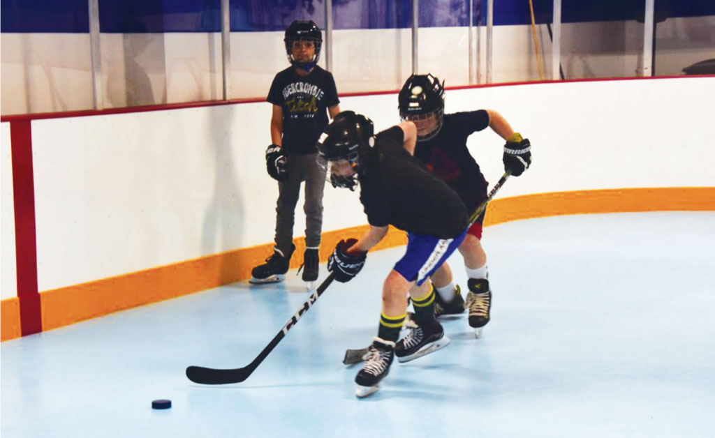 Can-Ice Catalog | Synthetic Ice Catalog | MRC Recreation